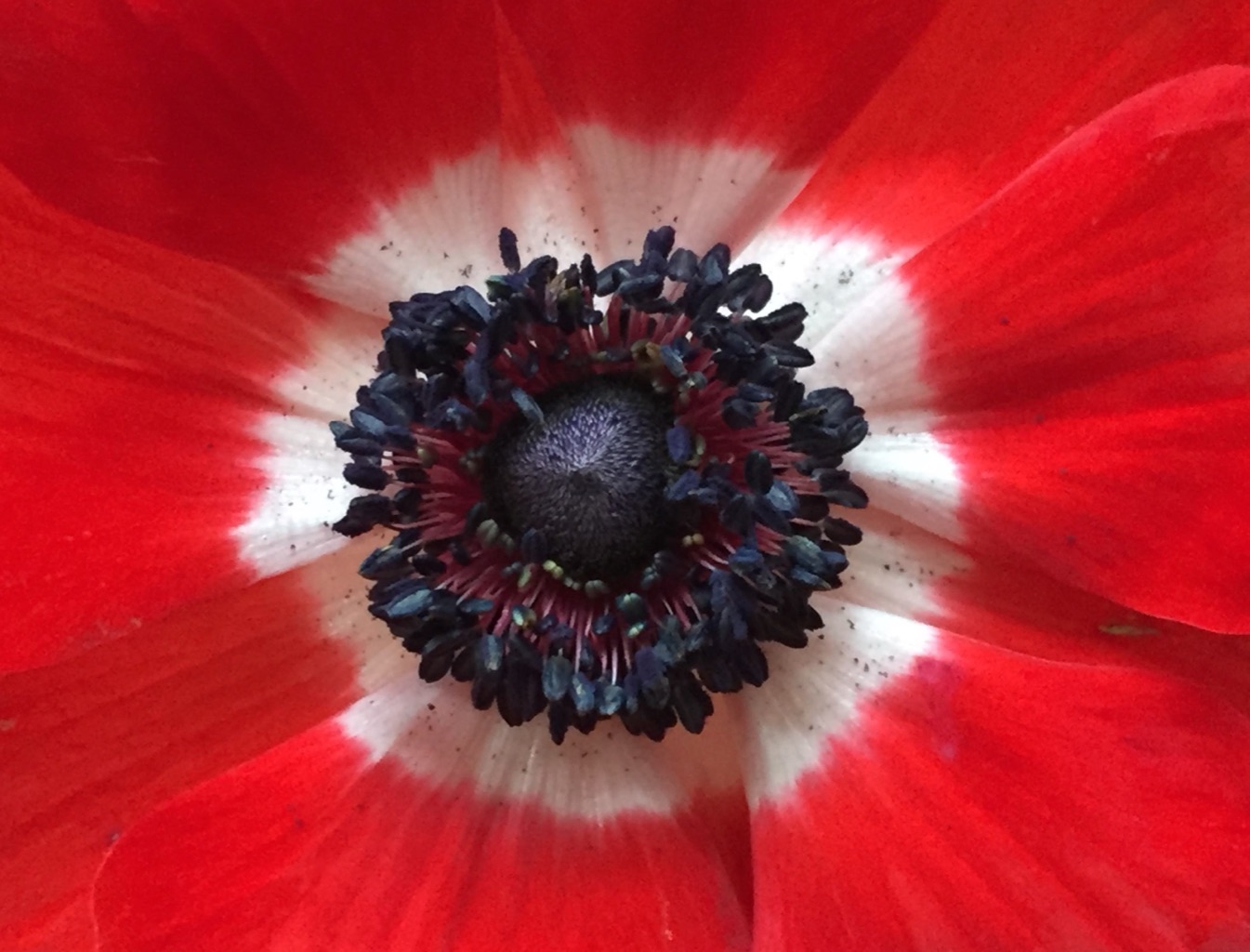 Actueel - Marijke Boon